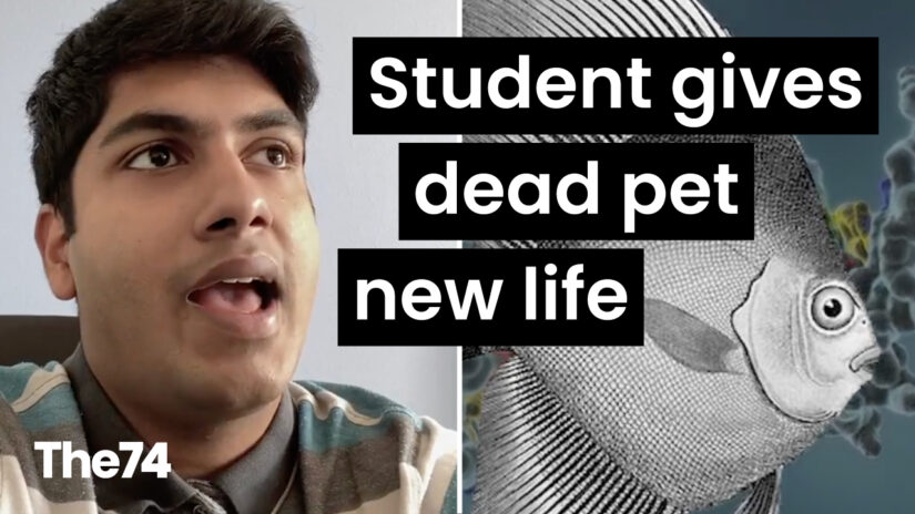 Watch: 17-Year-Old Makes History By Sequencing Genome of Pet Fish – The 74 Watch: 17-Year-Old Makes History By Sequencing Genome of Pet Fish – The 74